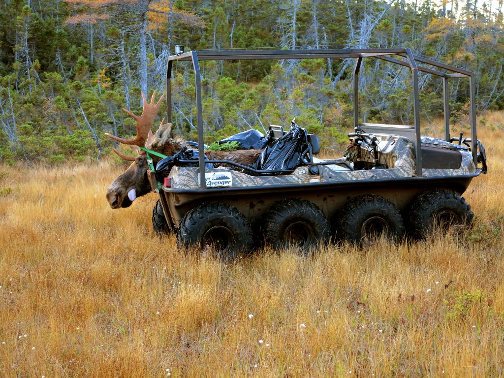 Newfoundland Moose Hunting Lodges - Rates | Adventure Quest Outfitters
