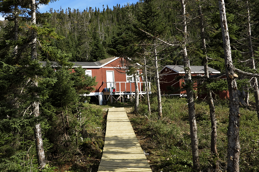 Adventure Quest Outfitters | Newfoundland Moose & Bear Hunting Lodges