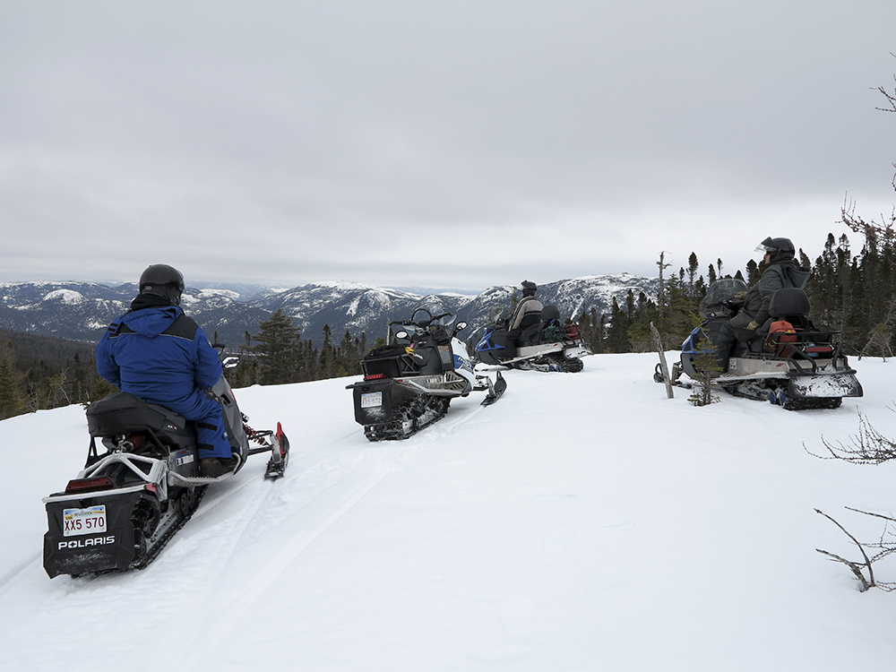 Adventure Quest Outfitters | Newfoundland Moose & Bear Hunting Lodges