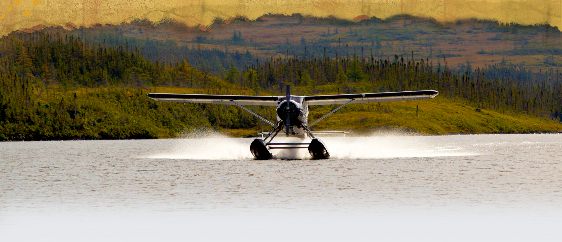 Adventure Quest Outfitters | Newfoundland Moose & Bear Hunting Lodges